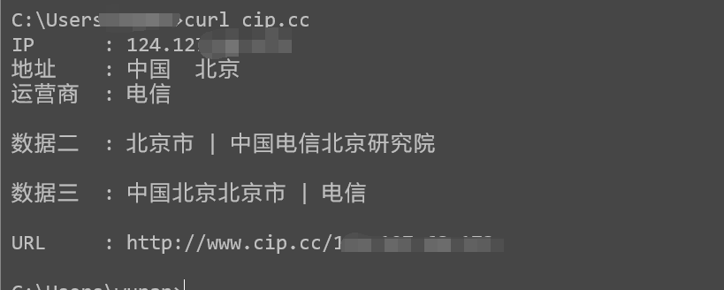 Clash配置专属于自己的ip代理池 Asnails Blog